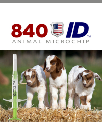 Livestock • Microchip ID Systems