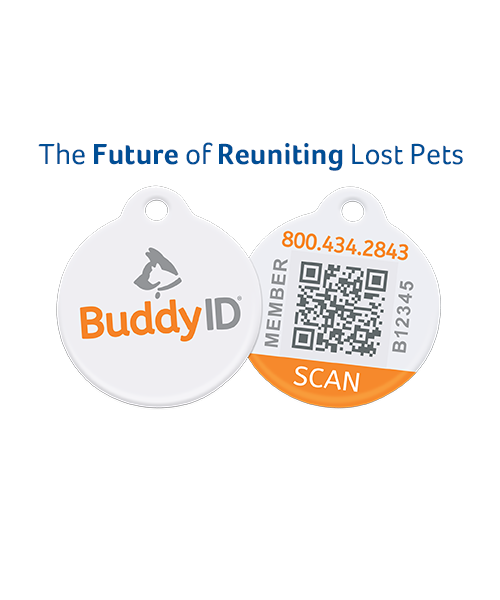 BuddyBadge® QR Collar Tag • Microchip ID Systems